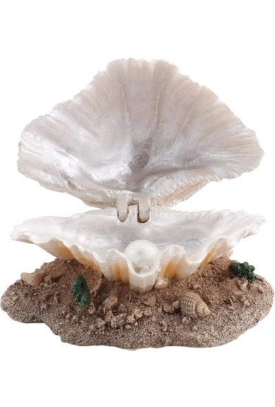 Charge Akvaryum Dekorasyon Kabuk Inci