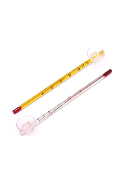 Charge Cam Akvaryum Termometresi