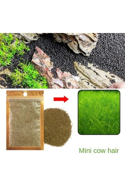 Charge Akvaryum Mini Inek Kılı Çim Bitki Tohumu Charge Akvaryum Mini Inek Kılı Çim Bitki Tohumu