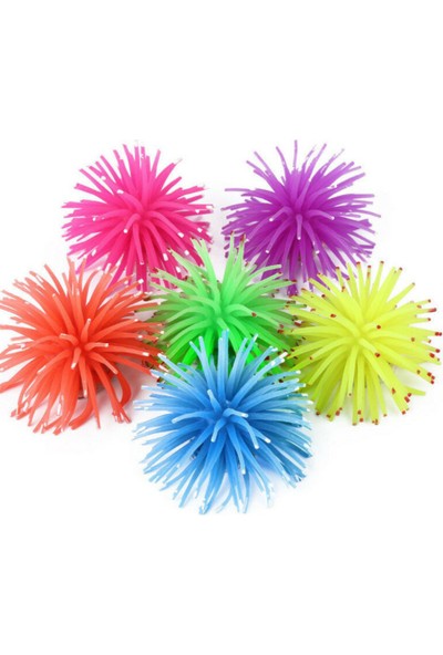 Charge Akvaryum Dekorasyon Deniz Kestanesi