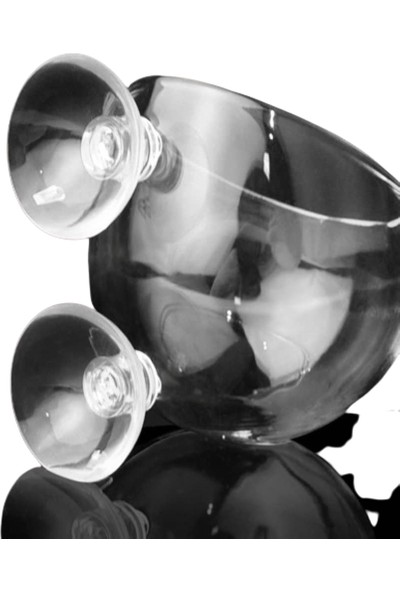 Charge Akvaryum Dekorasyon Su Saksısı