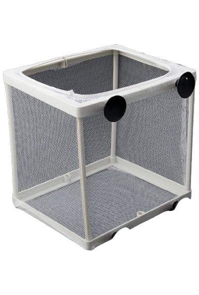 Armatürk Küçük Boy Tül Balık Yavruluğu