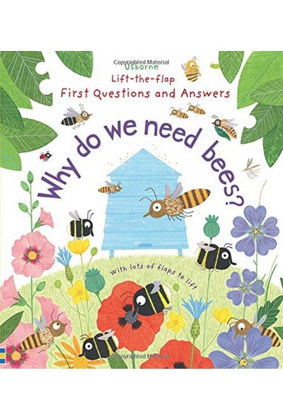 Why Do We Need Bees? - Katie Daynes