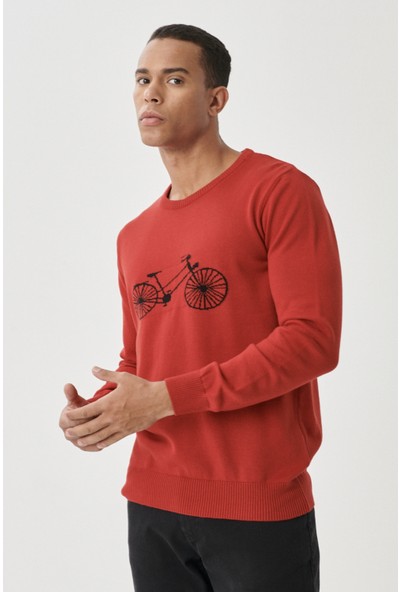 AC&Co / Altınyıldız Classics Standart Fit Bisiklet Yaka Desenli %100 Koton Triko Kazak