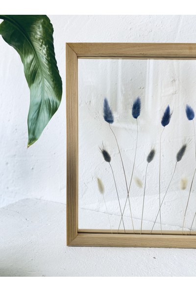 My Landscape Mavi, Gri ve Beyaz Pamuk Otu - Kurutulmuş Bitki - Ahşap Çerçeve