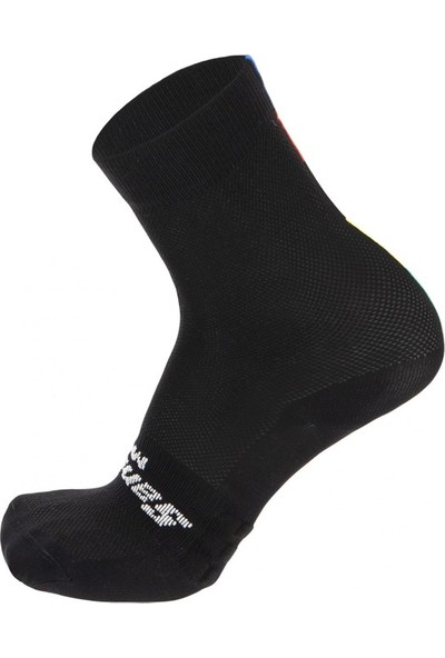 Santini Ucı Rainbow Çorap