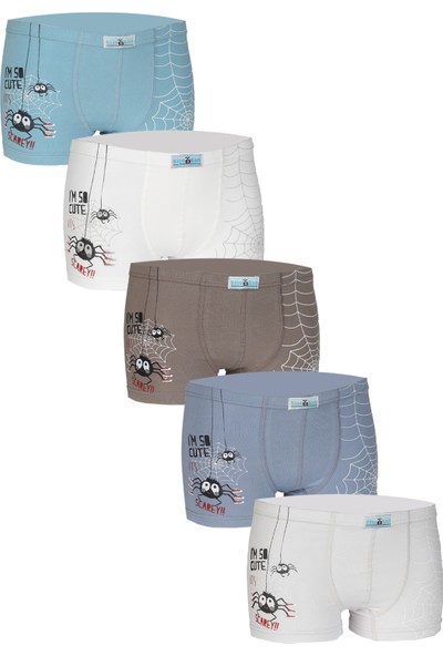 Biyokids Erkek Çocuk Örümcek Desenli Boxer 5'li Paket Karışık Renk Baskılı Boxer BYO2494 Biyokids Erkek Çocuk Örümcek Desenli Boxer 5'li Paket Karışık Renk Baskılı Boxer BYO2494