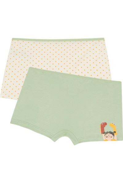 Penti Çok Renkli Kız Çocuk Lost Sock 2li Boxer