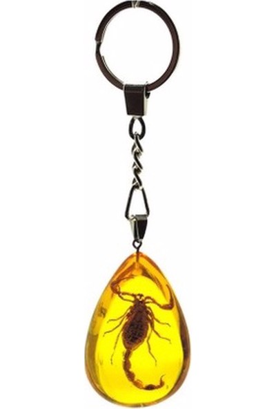 Bibizde Gerçek Akrep Fosilli Kehribar Anahtarlık Büyük Boy