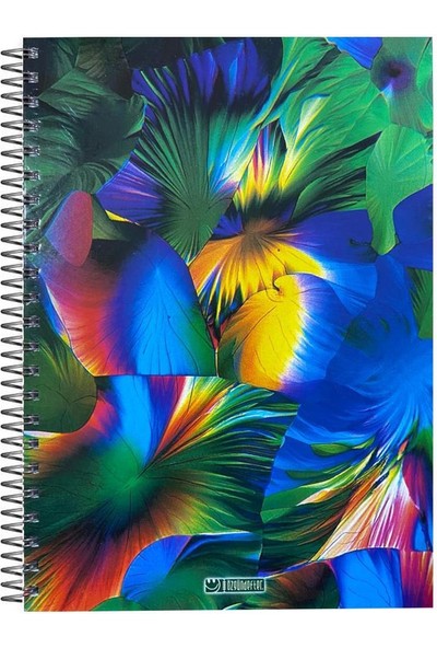 Özgün Defter A4 Spiralli Kareli 4 Renk Bölmeli Sert Kapak Defter 160 Yaprak