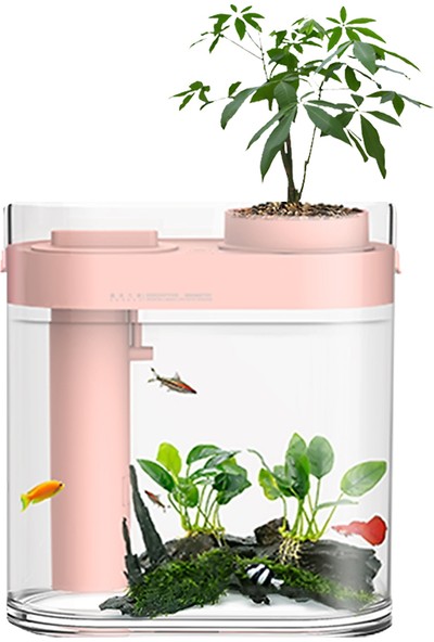 RAYOVAC Oksijen Su Pompası ile Desgeo Amfibi Fishbowl Ekolojik