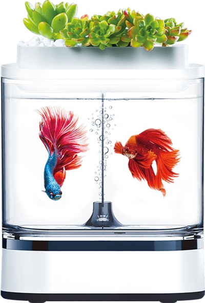 Güneydoğu 1.5L Bitki Yetiştirmeli Küçük Balık Akvaryumu -Beyaz (Yurt Dışından)