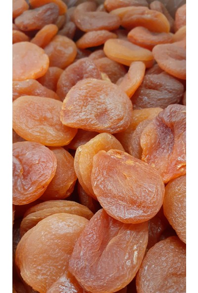 Magro Propatis Jumbo Sarı Kayısı (Kızıl Düşük Kükürt) Magro Propatis Jumbo Sarı Kayısı (Kızıl Düşük Kükürt)
