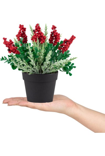 Çiçekmisin Mini Siyah Plastik Saksıda Karlı Kokinalı Yapay Yılbaşı Çiçeği