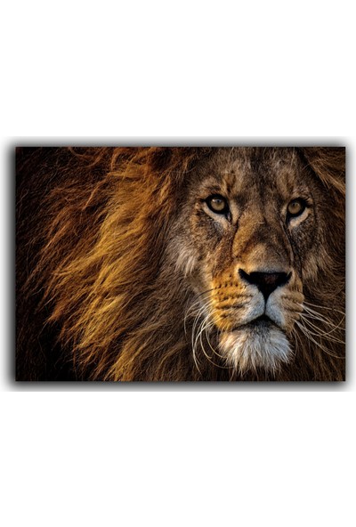 Arazomi Arslan Cam Tablo 30 x 45 cm