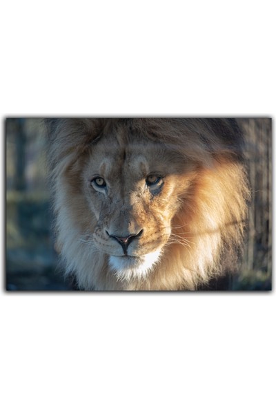 Arazomi Arslan Cam Tablo 30 x 45 cm