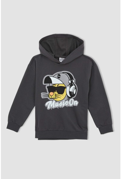 DeFacto Erkek Çocuk Kral Şakir Lisanslı Relax Fit Kapüşonlu Sweatshirt W2535A621CW