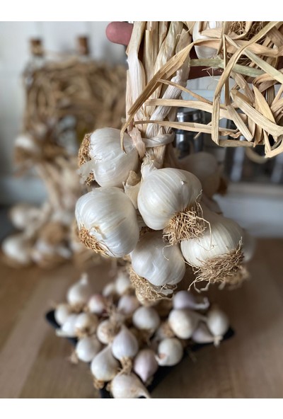 Taşköprü Ata Tohum Taşköprü Sarımsak Iri Boy