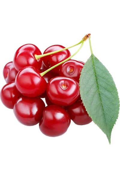 Sebze Meyve Dünyası Vişne 1 kg
