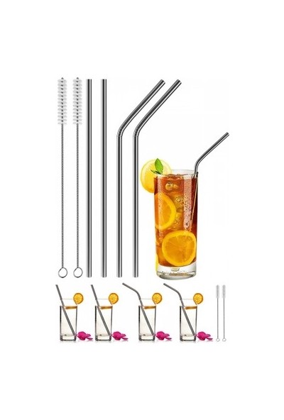 RightOn Paslanmaz 4'lü Metal Pipet ve 2'li Temizle Fırçası