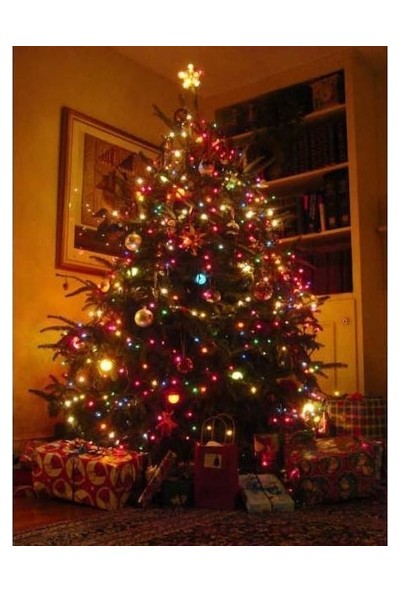 Top Rock Store LED Yılbaşı Ağacı Işığı 10 Metre Kumandalı