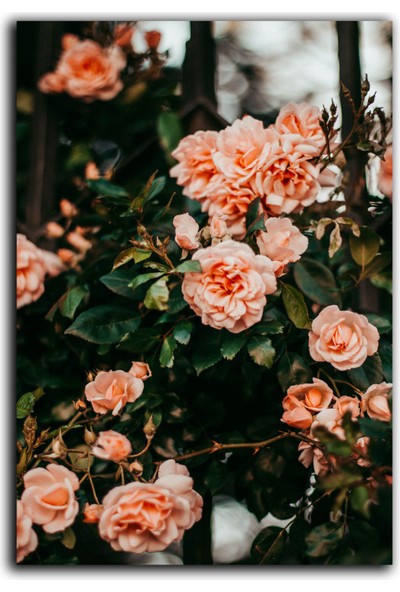 Arazomi Pembe Gül Cam Tablo 30 x 45 cm