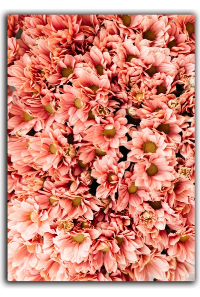 Arazomi Pembe Bitki Dekoratif Cam Tablo 30 x 45 cm Arazomi Pembe Bitki Dekoratif Cam Tablo 30 x 45 cm