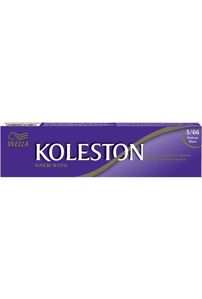 Koleston Tüp Boya 3-66 Patlıcan Moru Koleston Tüp Boya 3-66 Patlıcan Moru