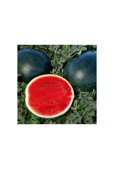 Köy Tohumları 20 Adet Tohum Büyük Iri Boy Washinton Siyah Kara Bal Karpuz Sürpriz Tohum