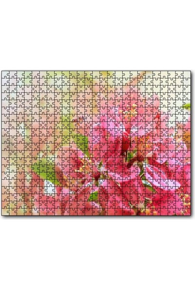 Caka Tablo Cakapuzzle Pembe Elma Çiçeği Görseli 255 Parça Puzzle Yapboz Mdf (Ahşap) Caka Tablo Cakapuzzle Pembe Elma Çiçeği Görseli 255 Parça Puzzle Yapboz Mdf (Ahşap)