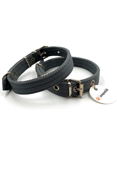 Enpatili Köpek Tasması Yetişkin Küçük Orta Irk ve Büyük Irk Yavru Köpek Boyun Tasması Gri