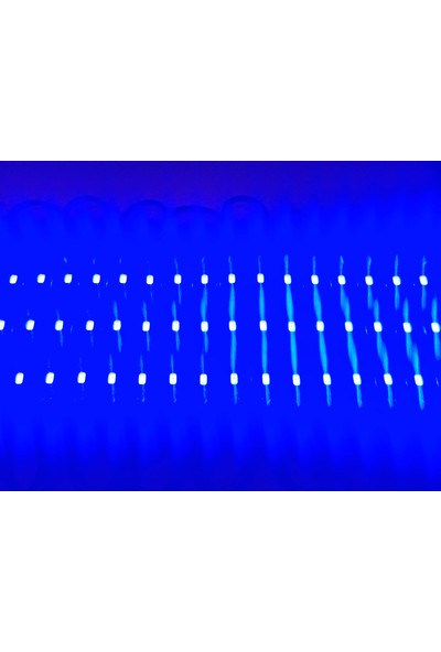 Alles Modül LED Mavi 12 Volt - 20 Adet Alles Modül LED Mavi 12 Volt - 20 Adet
