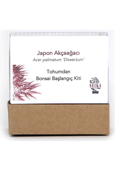 Seika Tohumdan Bonsai Başlangıç Kiti - Japon Akçaağacı (Kırmızı) No.1 Seika Tohumdan Bonsai Başlangıç Kiti - Japon Akçaağacı (Kırmızı) No.1