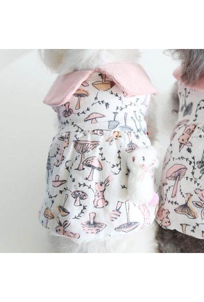 Austin Aşınma Önleyici Outdoor Evcil Hayvan Üst (Yurt Dışından) Austin Aşınma Önleyici Outdoor Evcil Hayvan Üst (Yurt Dışından)