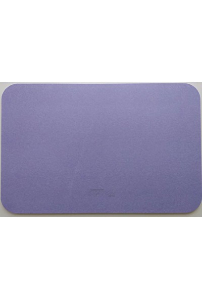 Diatom Süper Emici Hijyenik Paspas Mor