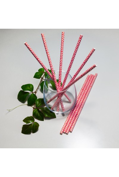 Eco Stuff Ecostuff Kağıt Pipet Ø6X230 mm Kırmızı Zigzag 25'li Eco Stuff Ecostuff Kağıt Pipet Ø6X230 mm Kırmızı Zigzag 25'li