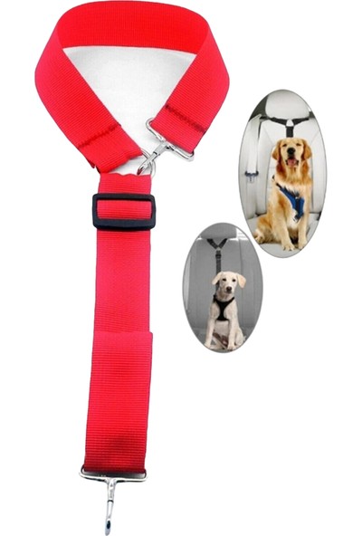 Sar Araba Köpek Emniyet Kemeri Kırmızı