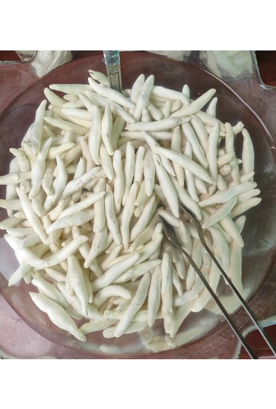 Organik City Doğal Iri Boy Kenger Sakızı 20'li Yeni Mahsul Organik City Doğal Iri Boy Kenger Sakızı 20'li Yeni Mahsul