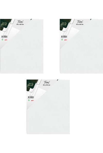 Gen-of Tuval 35X50 cm 3 Adet