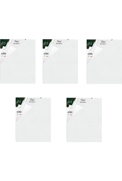 Gen-of Tuval 35X50 cm 5 Adet