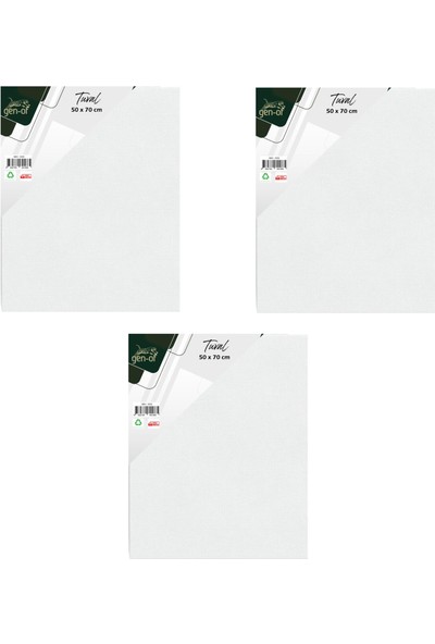 Gen-of Tuval 50X70 cm 3 Adet
