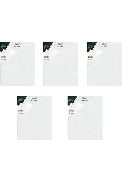 Gen-of Tuval 50X70 cm 5 Adet