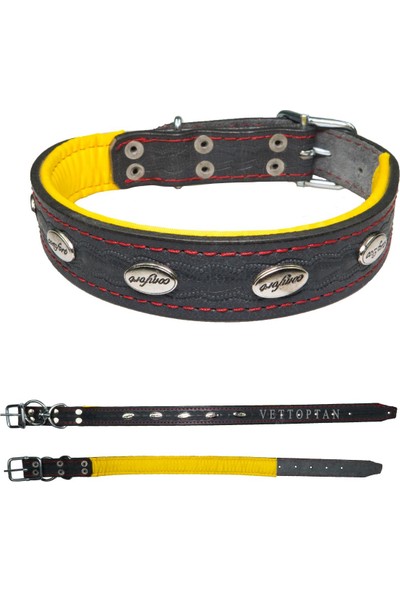 Marka Sida Sida Köpek Boyun Tasması Deri Tasma Kaniş Tazı Akbaş Kafkas Dogo Argentino Pekinez 55 x 3 cm Kangal