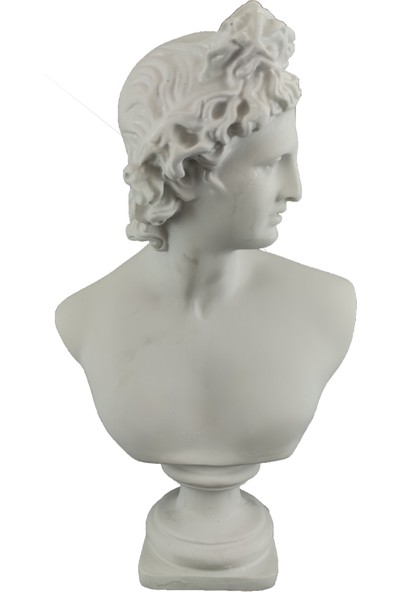 Pol & Art HYK306 Kaideli Sola Bakan Erkek Büst Ham Polyester Obje Pol & Art HYK306 Kaideli Sola Bakan Erkek Büst Ham Polyester Obje