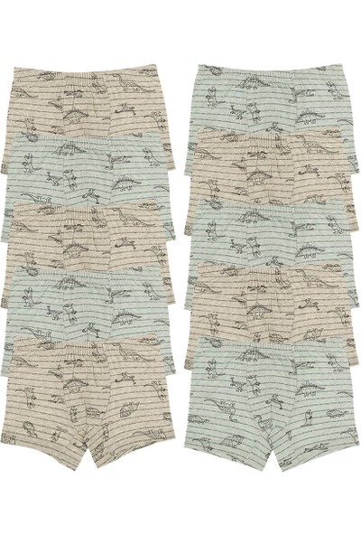 Donella 10'lu Renkli Dinazor Baskılı Erkek Çocuk Boxer - 751128