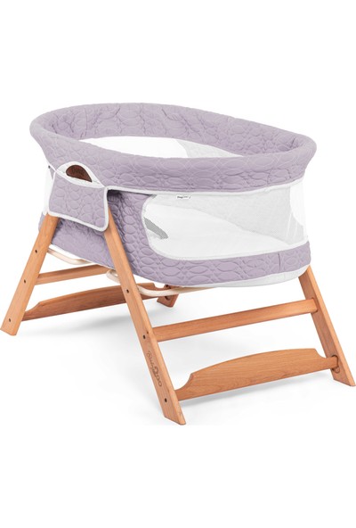 BABY2GO Dondy Portatif Katlanır Beşik