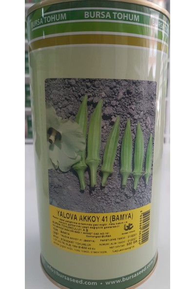 Bursa Tohum Yalova Akköy Bamya Tohumu