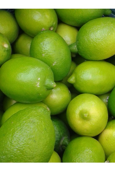 Ortaca Ele Ele Kadın Kooperatifi Taze Limon