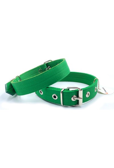 Enpatili Köpek Tasması Büyük Orta Irk Köpek Boyun Tasması Yeşil