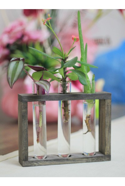 Demwood Ceviz Tüp Çiçeklik 3'lü